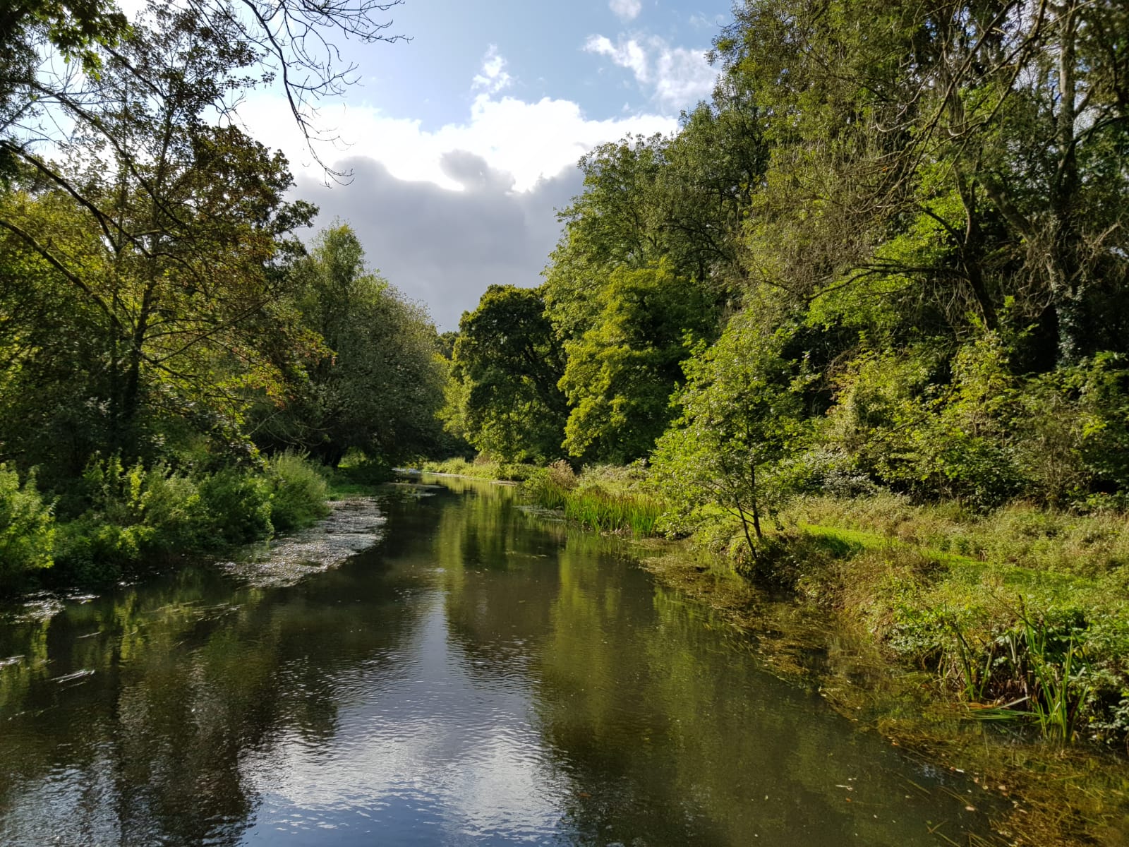 Best Foot Forward for Stroke Association | Woolley and Wallis