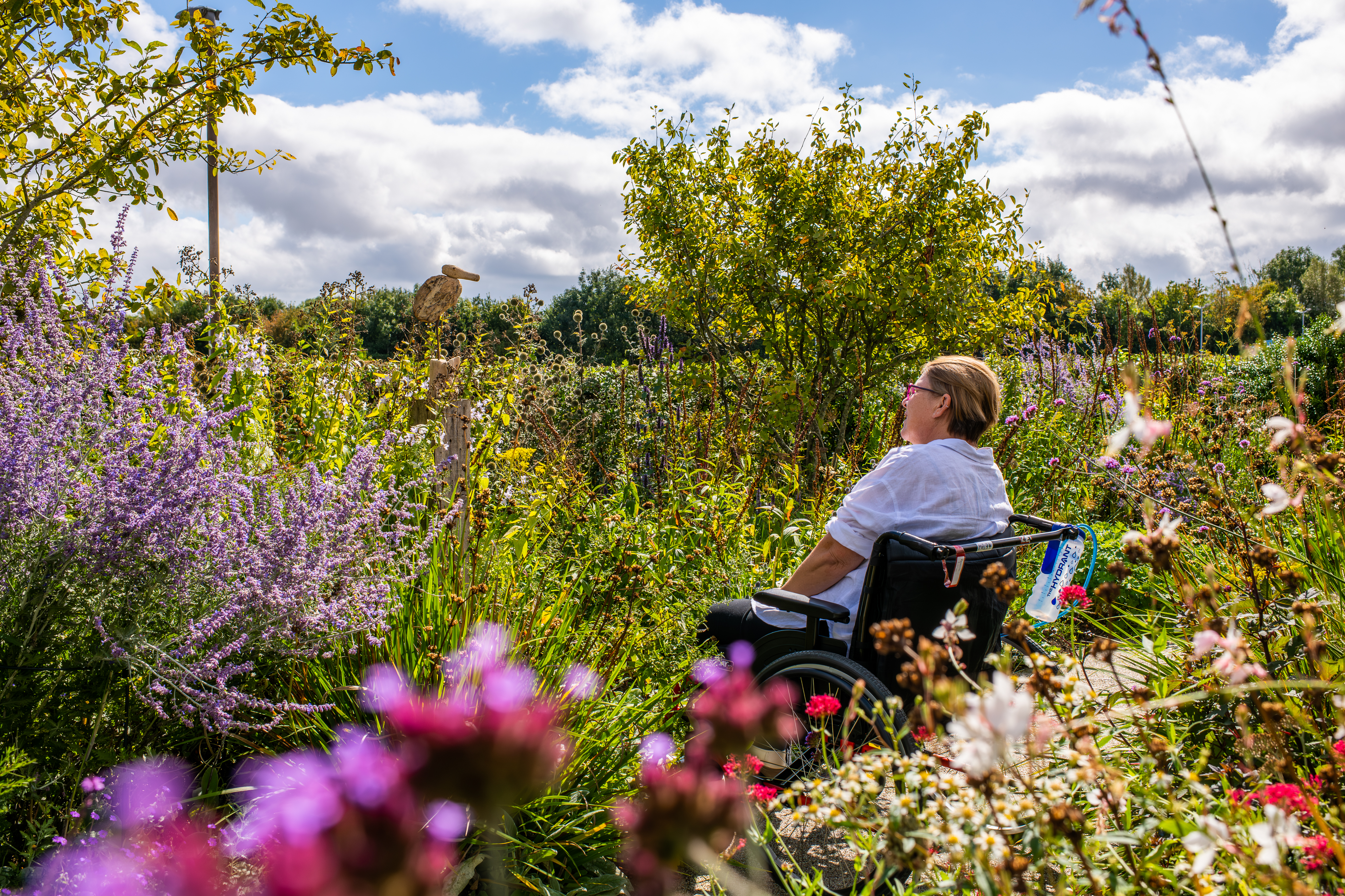 Horatio's Garden Online Art Auction 2023 | Woolley and Wallis